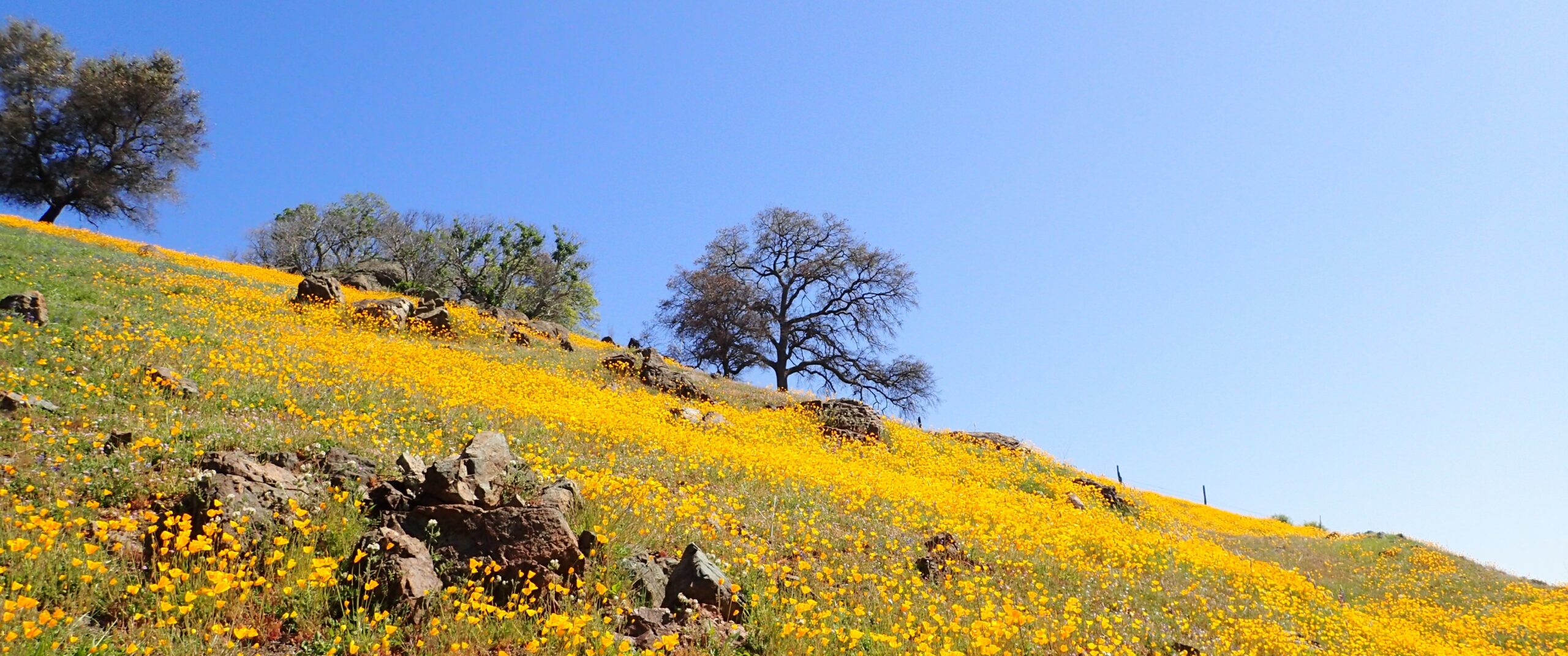 AAUW TECH TREK | El Dorado (CA) Branch